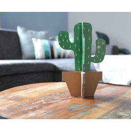Buying mini cactus | Buying cardboard cactus online | Holbox Shop Direct